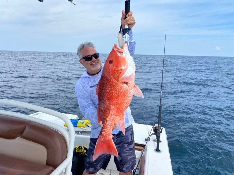 Stop The Madness: Federal Regulations May Increase Red Snapper Limits ...